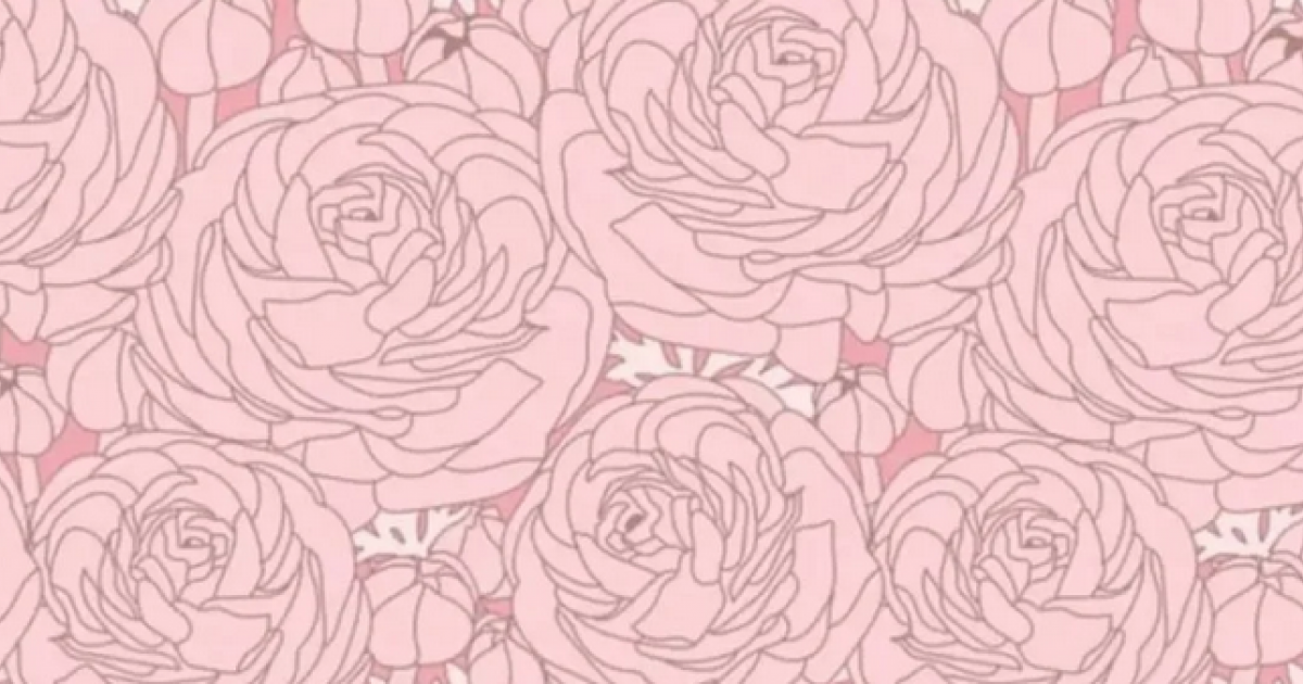 Οπτική ψευδαίσθηση: Μόνο λίγοι μπορούν να βρουν το φλαμίνγκο | Alfavita